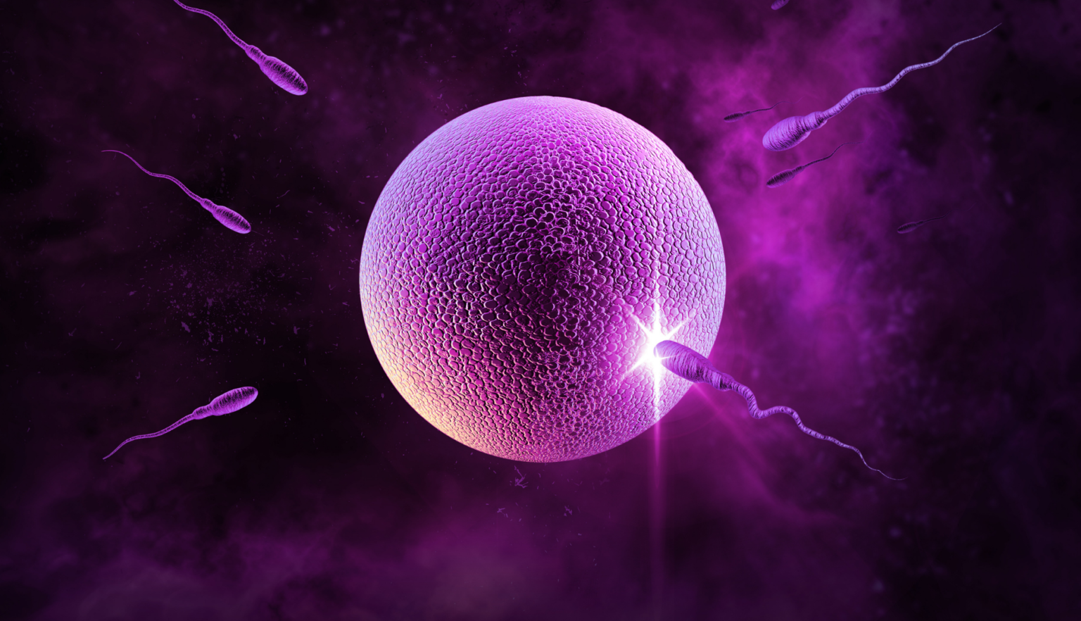 Preconception – Conscious Birth and Wellness